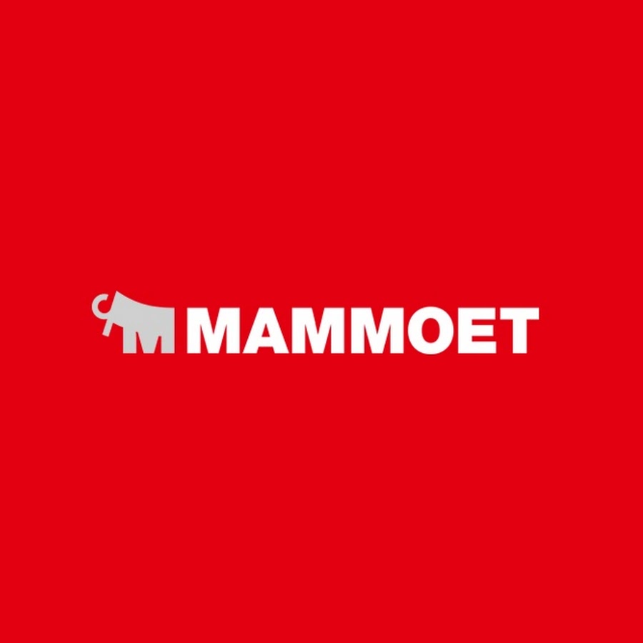 Mammoet - Cstories.nl - Business Storytelling